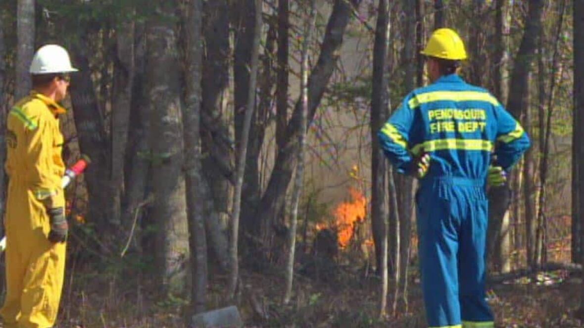 New Brunswick Battles 2 More Forest Fires New Brunswick Cbc News