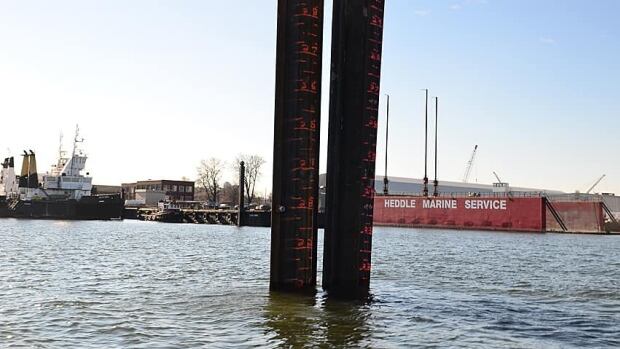 Plan For Hamilton s Randle Reef Cleanup Put Coal Tar in A Big Steel Box CBC News plan-for-hamilton-s-randle-reef-cleanup-put-coal-tar-in-a-big-steel-box-cbc-news