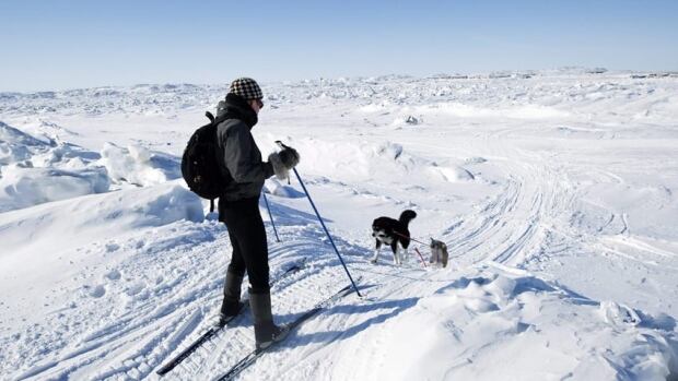 Spring Arctic snow pack melting fast, study warns | CBC News Spring Arctic snow pack melting fast, study warns | CBC News