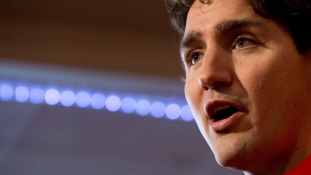Justin Trudeau Condemns Partisan Attack Against Andrew Leslie Cbc News