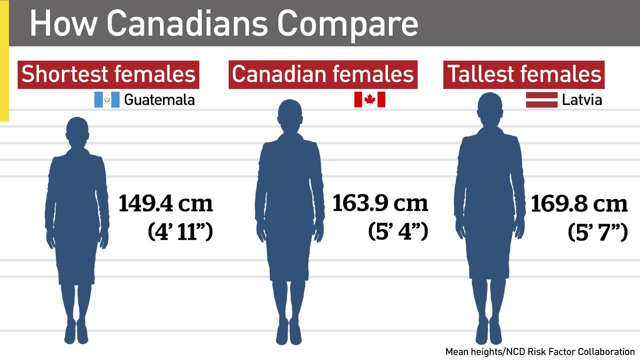  5 9 And 4 11 Height Difference 