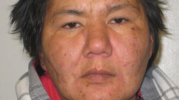 Selkirk Woman Found Safe By Police Cbc News
