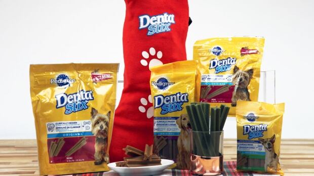 WIN: Denta Stix and Kuraidori air cooker | CBC Life