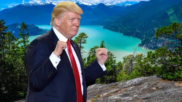 As Canada Turns 150 Trump Declares It Too Old To Sexually Harass Cbc Comedy
