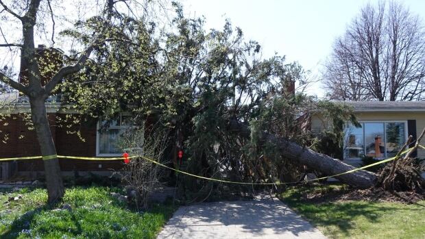 Wind storm leaves thousands without power in Ottawa | CBC News Wind storm leaves thousands without power in Ottawa | CBC News