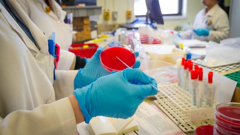 A Look Inside Nova Scotia s Only COVID 19 Test Lab CBC News a-look-inside-nova-scotia-s-only-covid-19-test-lab-cbc-news