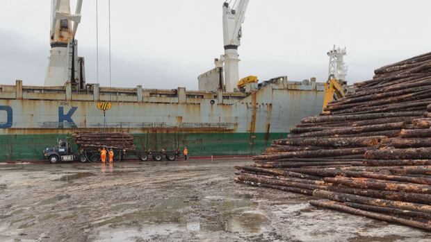 Arrested Chinese cargo ship will depart Happy-Valley Goose Bay ... Arrested Chinese cargo ship will depart Happy-Valley Goose Bay ...
