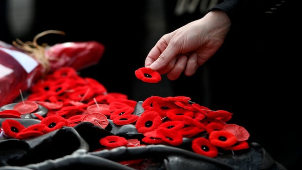 How to follow CBC's Remembrance Day coverage this weekend | CBC News