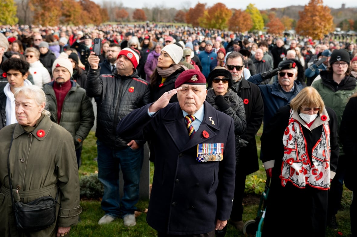 What's open and closed in Ottawa for Remembrance Day | CBC News