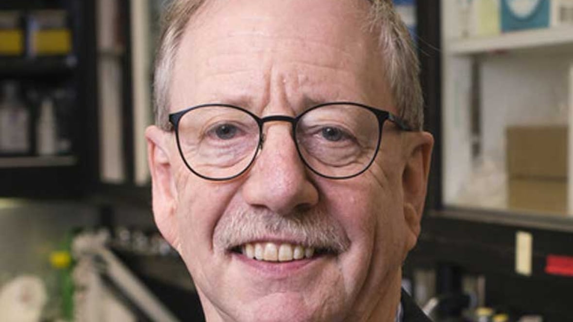 How studying long-lived animals might give us the key to longer, healthier life | Quirks and ...