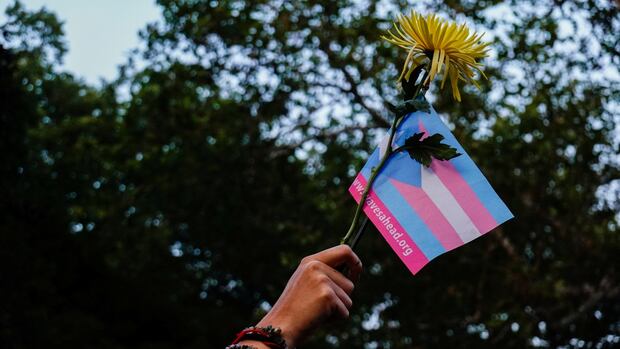 Transgender Americans Brace For Trump Presidency After Campaign