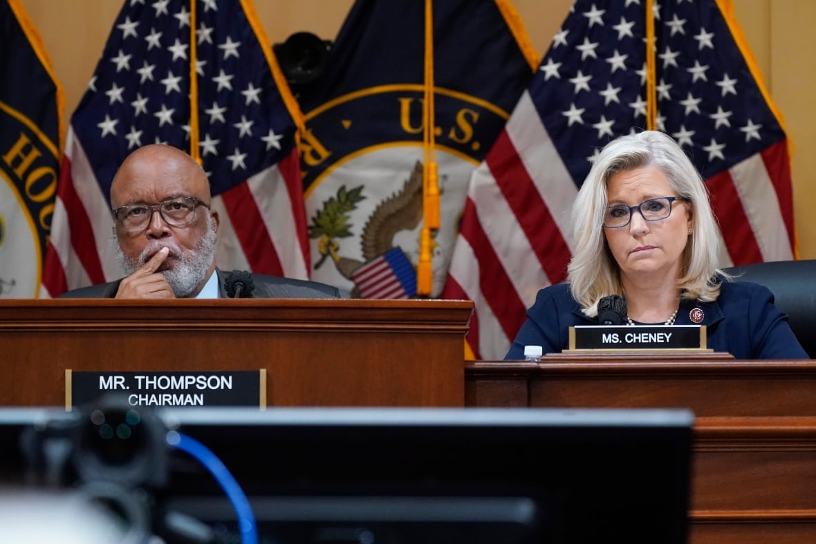 Biden issues pre-emptive pardons for Anthony Fauci, Liz Cheney, family members | CBC News