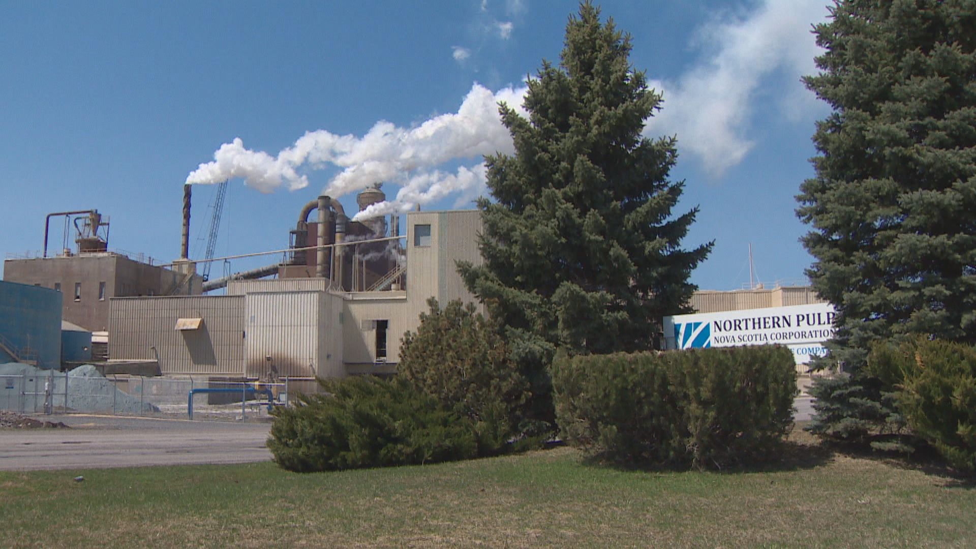 Northern Pulp Jobs Won t Be Returning To Pictou County CBC ca northern-pulp-jobs-won-t-be-returning-to-pictou-county-cbc-ca